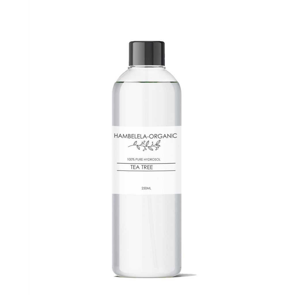 Tea Tree Hydrosol – Hambelela Organic